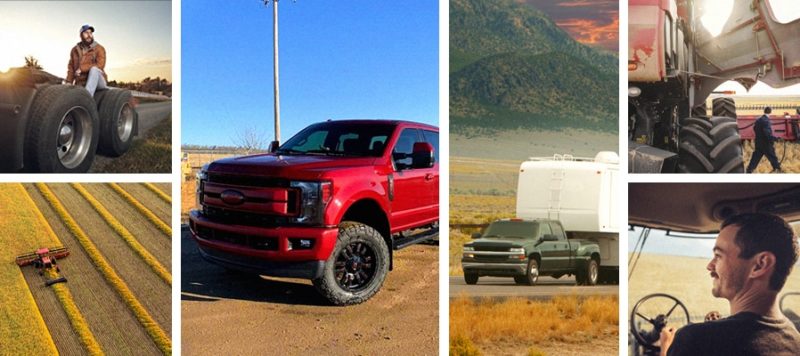 Shell Rotella - Engine Oils and Coolants - NAPA Auto Parts