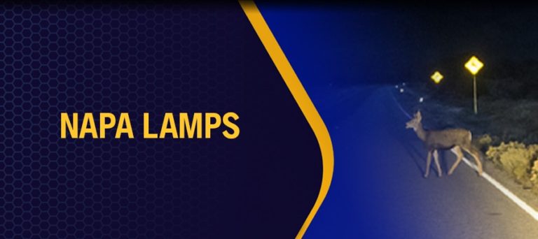 NAPA Lamps – NAPA NIGHTVISION – NAPA Auto Parts (napaonline.com)